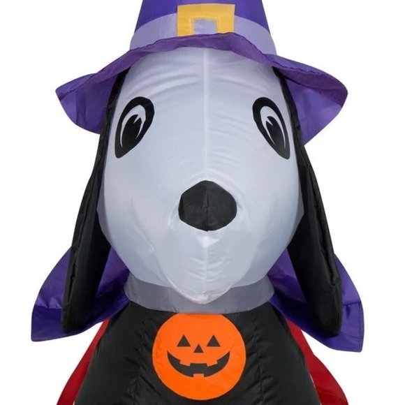 No brand / Not sure | Holiday | Rainbow Witch Dog Halloween Airblown ...